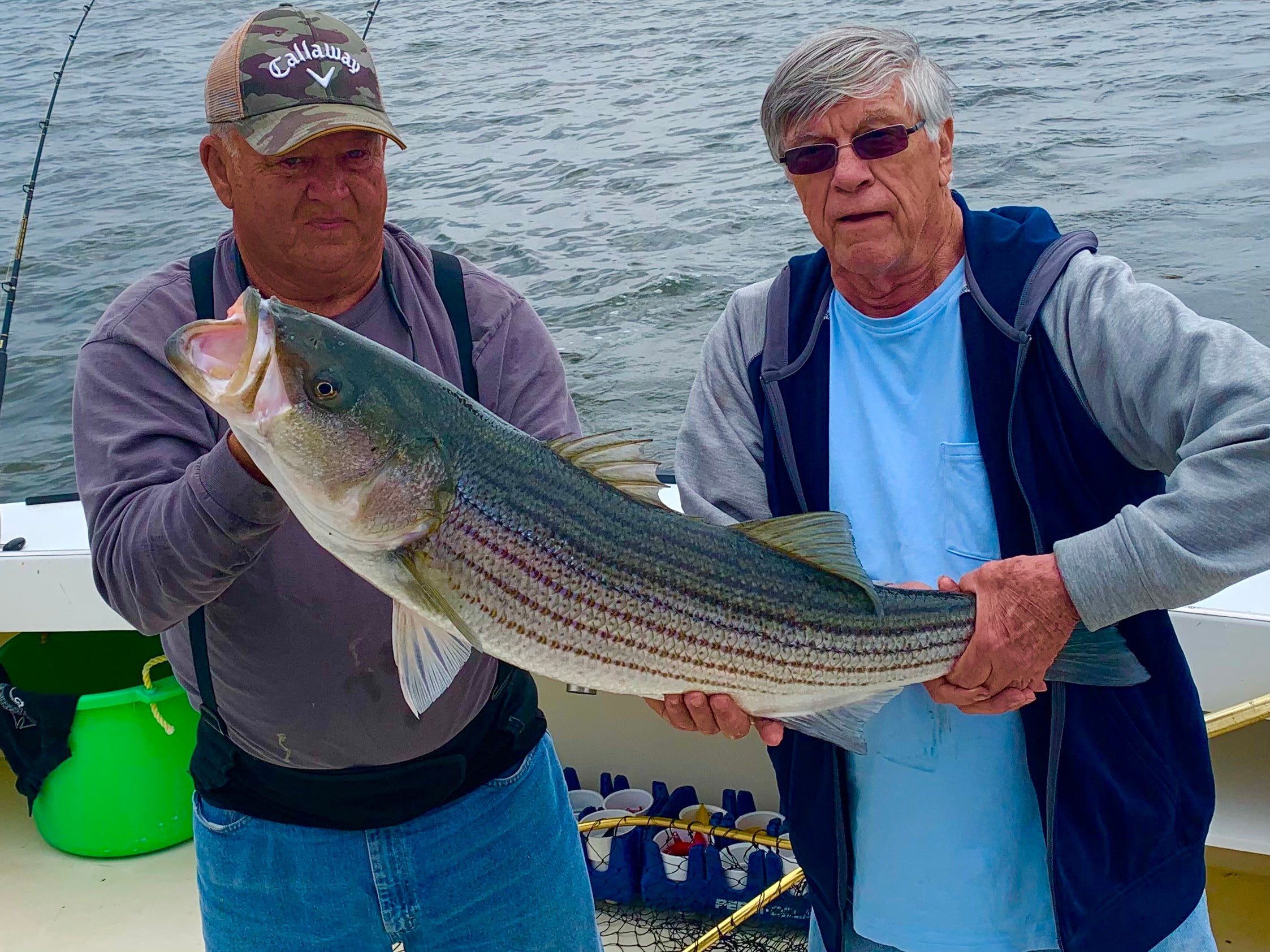 Hooked Highlights – Spoonbrella Rigs